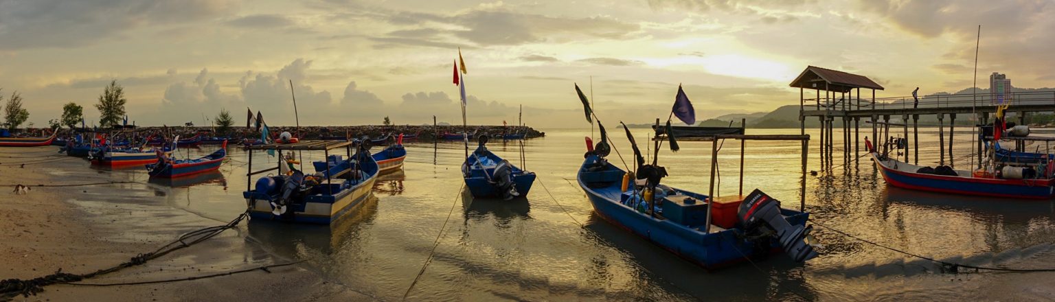 Policies – Others – MSFI